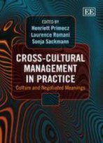Cross-Cultural Management in Practice [DRM] - ebook PDF - Opracowanie ...