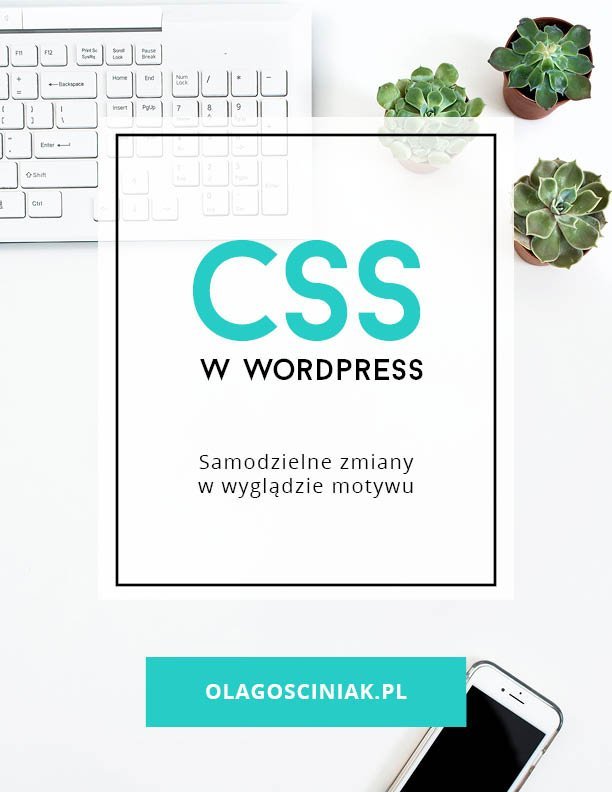 CSS w Wordpress. Samodzielne zmiany w wyglądzie motywu - ebook epub - Ola Gościniak | Ebook ...