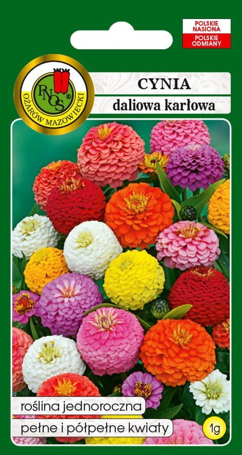 Cynia daliowa karłowa mieszana 1 g PNOS - PNOS | Sklep EMPIK.COM