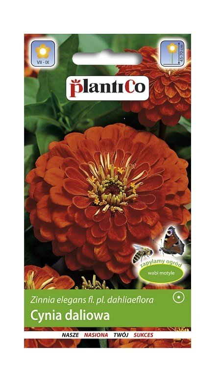 Cynia wytworna daliowa cynobrowa 1 g Plantico - Inna marka | Sklep ...