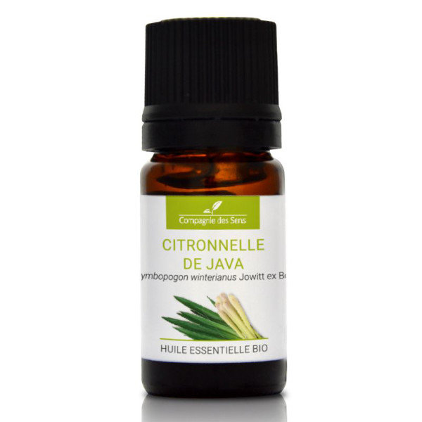 Cytronella Java - naturalny olejek eteryczny 5 ml / Compagnie des Sens ...