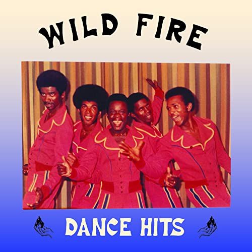Dance Hits, płyta winylowa - Wildfire | Muzyka Sklep EMPIK.COM