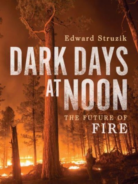 Dark Days at Noon: The Future of Fire - McGill-Queen's University Press ...