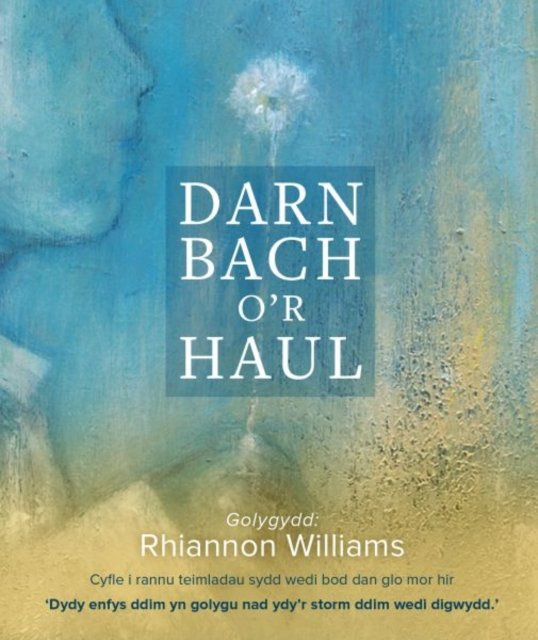 Darn Bach o'r Haul - Rhiannon Williams | Książka w Empik