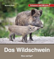 Das Wildschwein - Hase und Igel | Książka w Empik