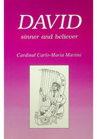 David sinner and believer - | Książka w Empik