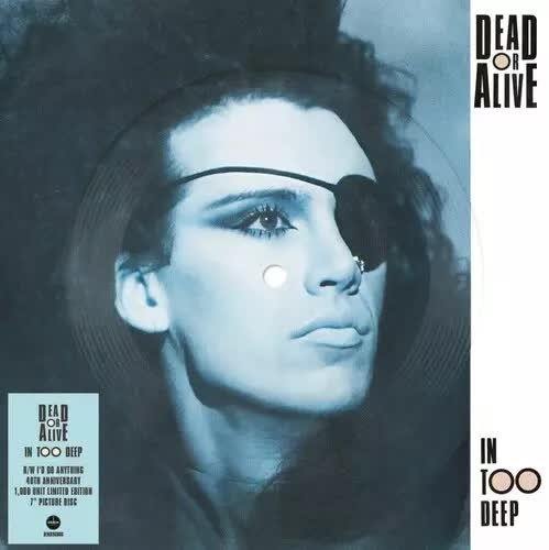 Dead Or Alive: In Too Deep Picture Disc Glossy Heavy Cover Vinyl ...