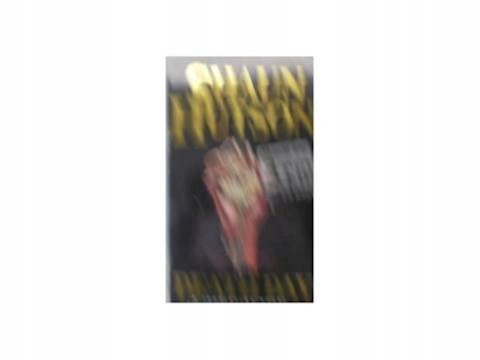 Death day - Hutson Steve | Książka w Empik