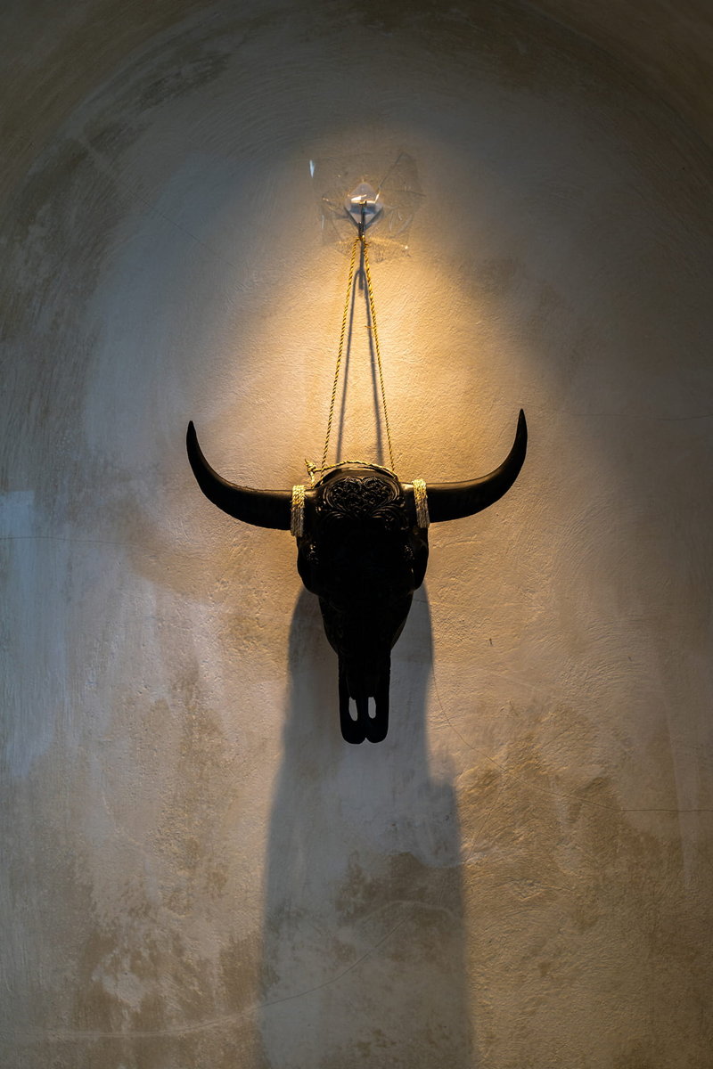 Dekoracja Głowa Byka Czarna S - ABC | Sklep EMPIK.COM