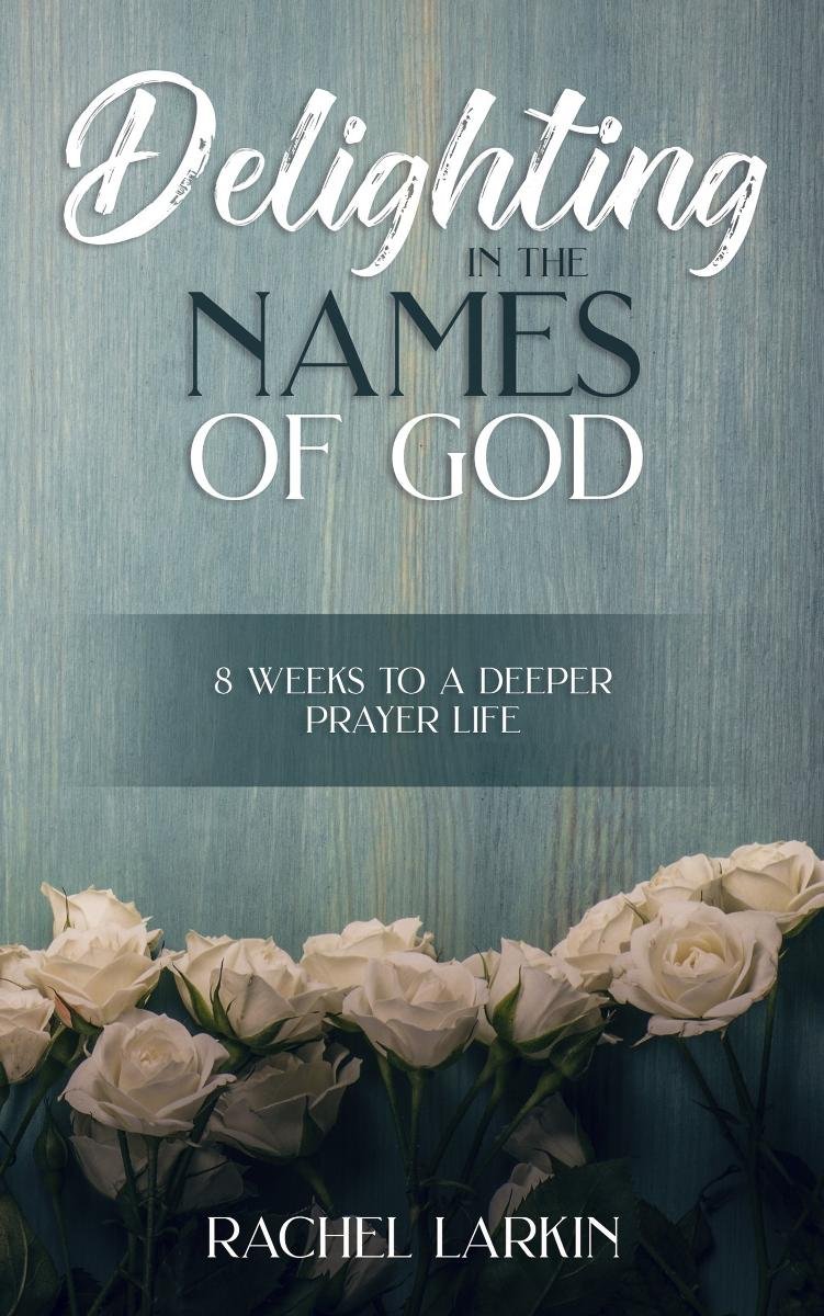 Delighting in the Names of God - ebook epub - Rachel Larkin | Ebook ...