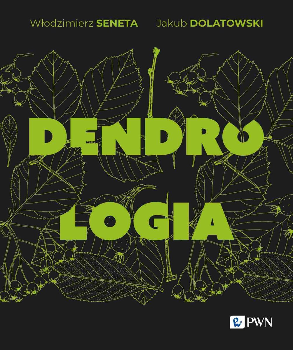 Dendrologia - Seneta Włodzimierz | Książka w Empik