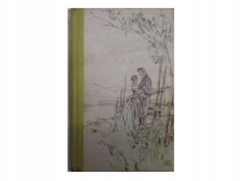 Der liebe Augustin - Geissler Heike | Książka w Empik