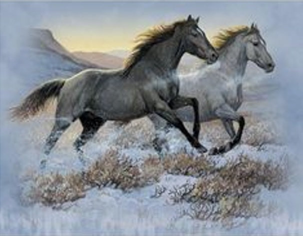 Diamentowa Mozaika Konie Czarny I Biały Galopujące Przez Step 30x40 - Norimpex | Sklep EMPIK.COM