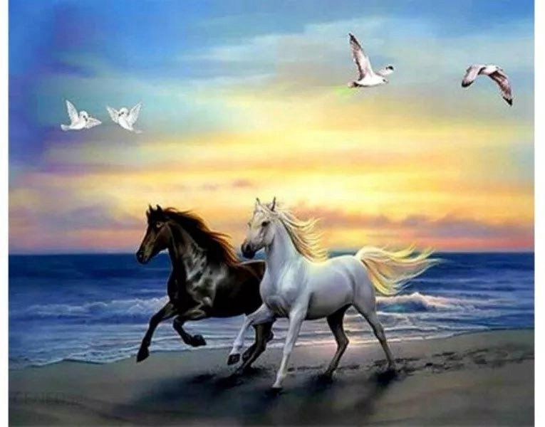 Diamentowa Mozaika Konie Dwa W Galopie Nad Morzem 30x40 - Norimpex | Sklep EMPIK.COM