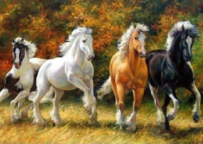 Diamentowa mozaika - Konie w galopie - Norimpex | Sklep EMPIK.COM