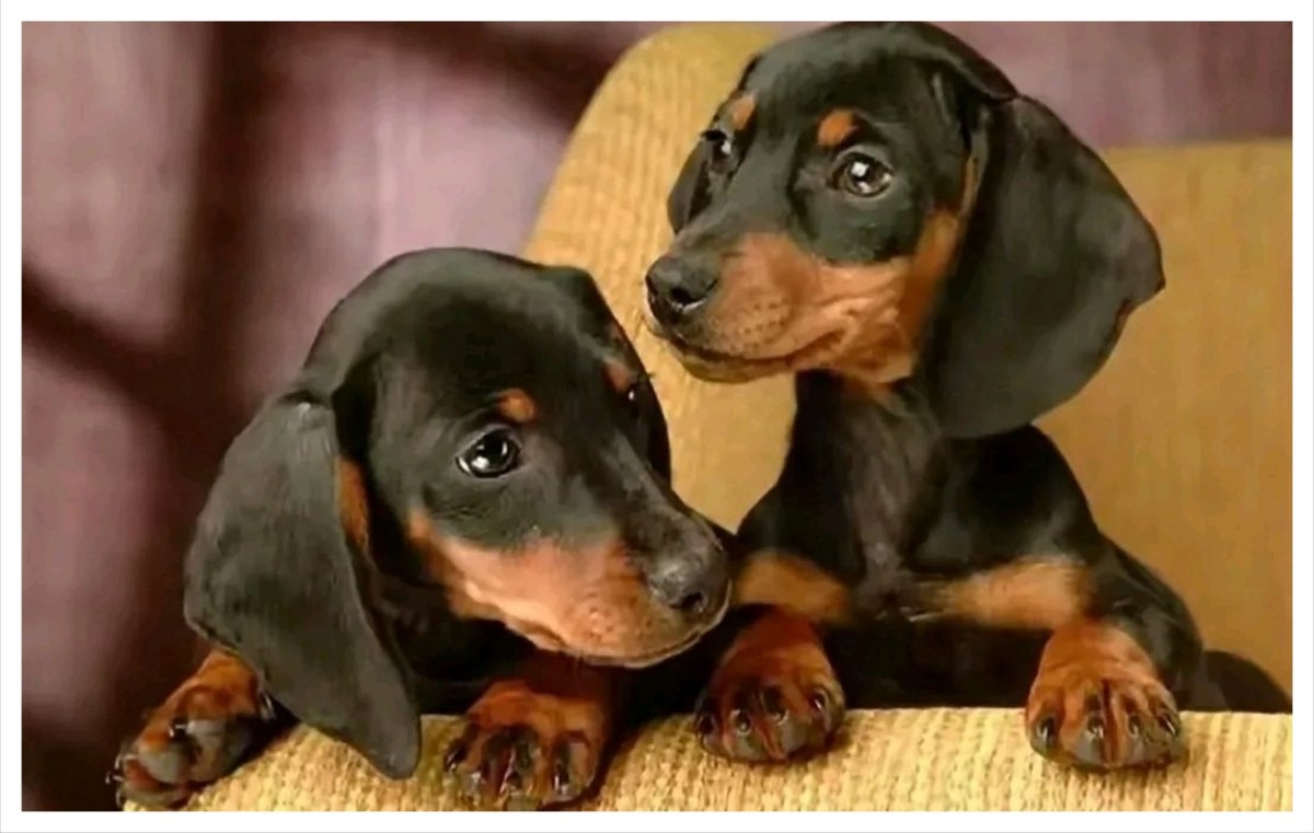 Diamentowa Pasja Haft Diamentowy Obraz Diamentowy Mozaika Diamentowa ...