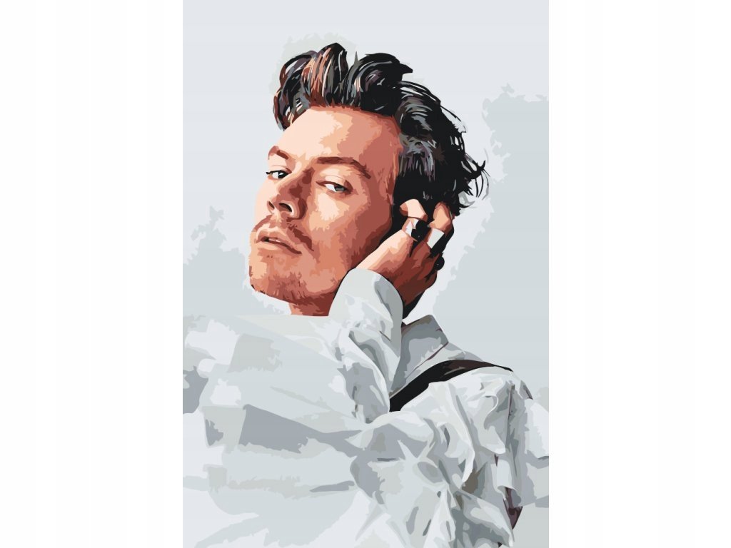 Diamond Painting Harry Styles Portret One Direction 60 x 80 cm BLEJTRAM ...