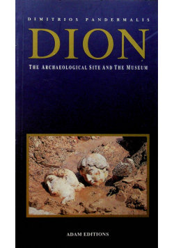 Dion - | Książka w Empik