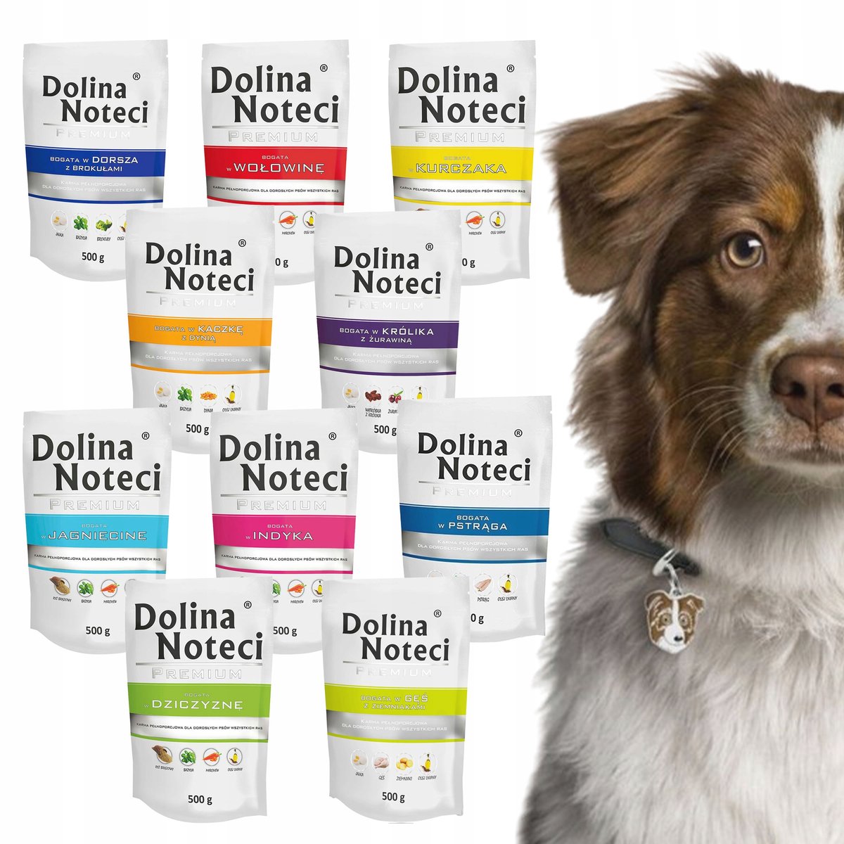 DOLINA NOTECI Premium Karma mokra dla psa MIX Smaków 10 x 500g Saszetka - Dolina Noteci | Sklep ...