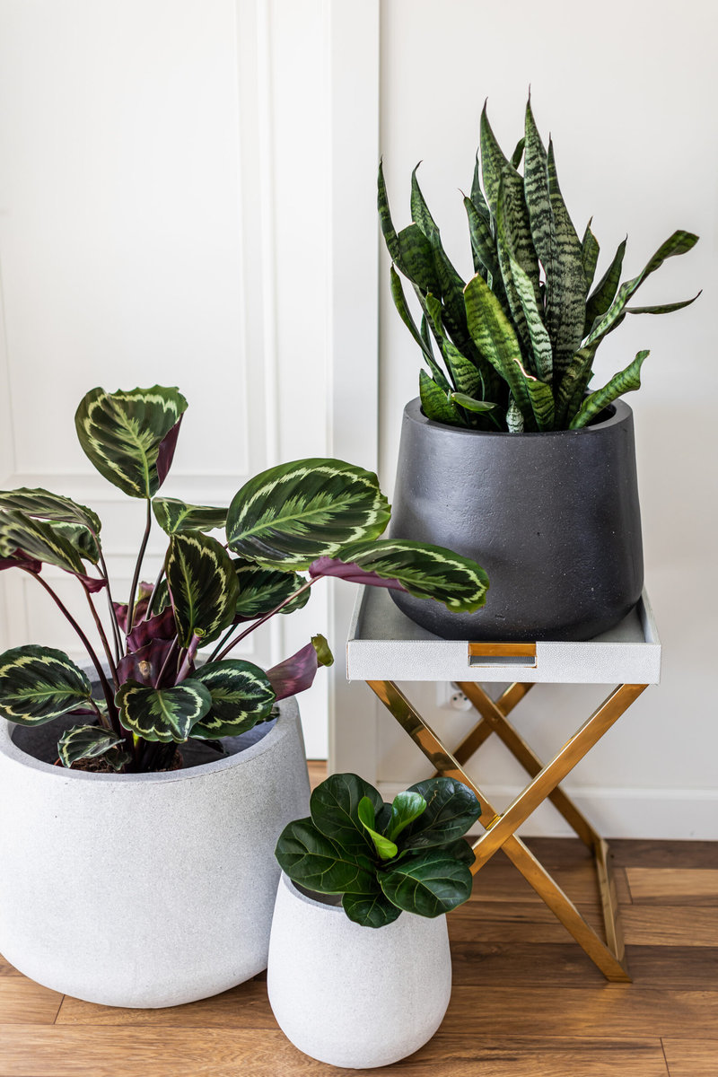 Donica do salonu nowoczesna Omega szara (3 szt) - Garden&You | Sklep ...