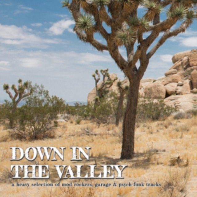 Down In The Valley - Various Artists | Muzyka Sklep EMPIK.COM