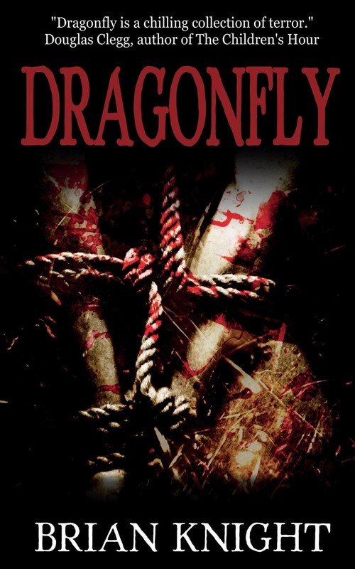 Dragonfly - Knight Brian | Książka w Empik