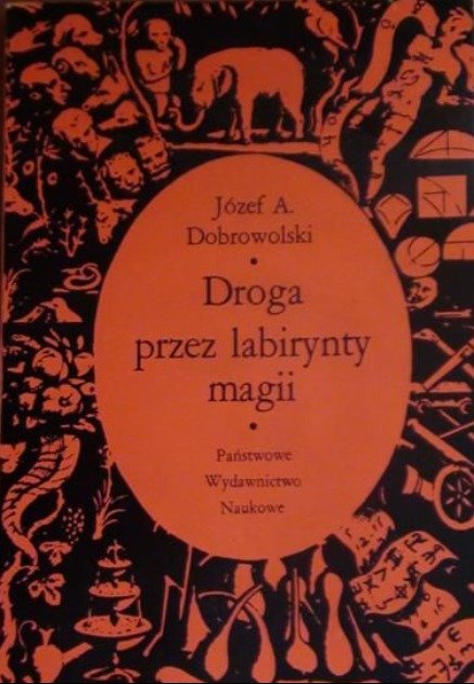 Droga przez labirynty magii - Opracowanie zbiorowe | Książka w Empik
