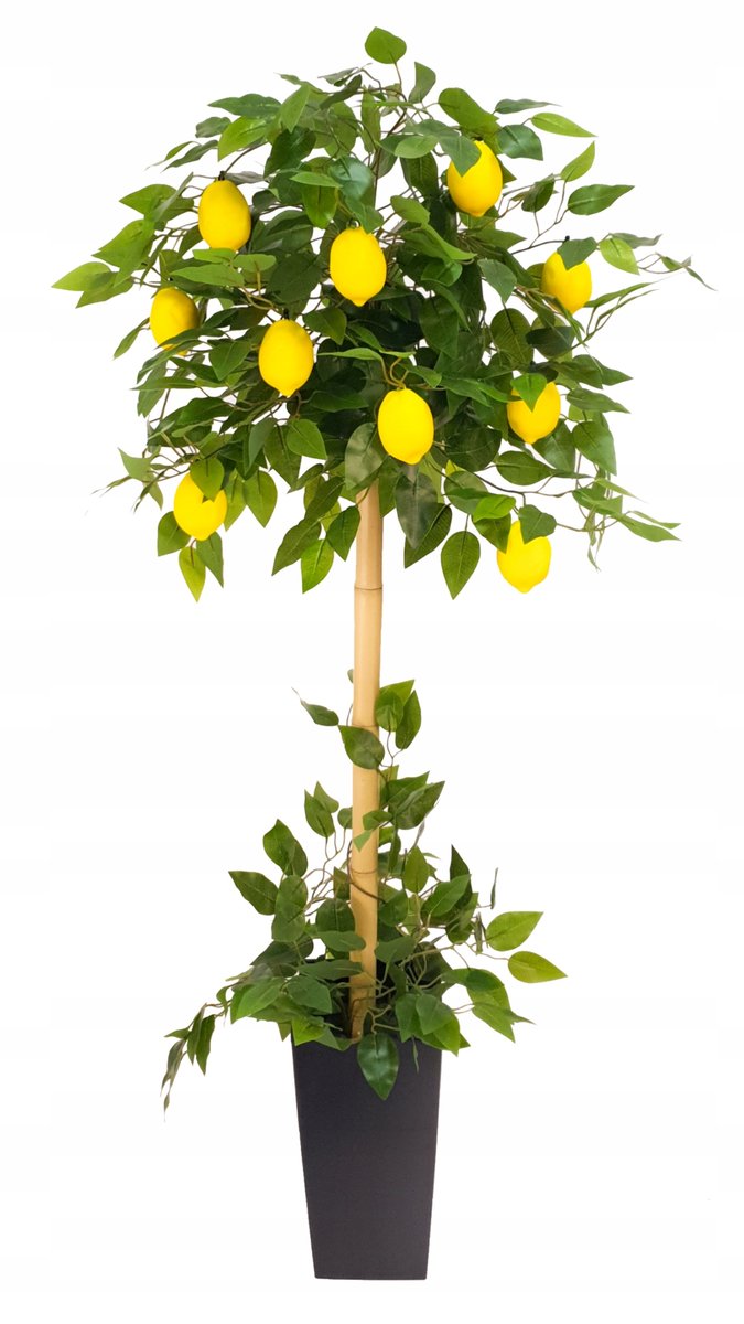 Drzewko Cytrynowe Sztuczne Drzewo Cytrusowe 140 cm - Inna marka | Sklep ...