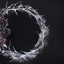 Dual (Dusk) - The Rose | Muzyka Sklep EMPIK.COM