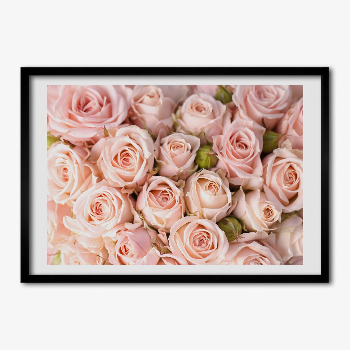 Duża grafika Obraz z ramką TULUP do sypialni TULUP Róże 70x50 cm ...