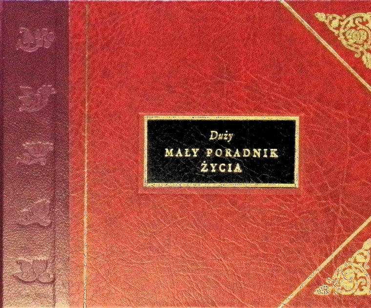 Duży mały poradnik życia - Brown Jackson H. | Książka w Empik