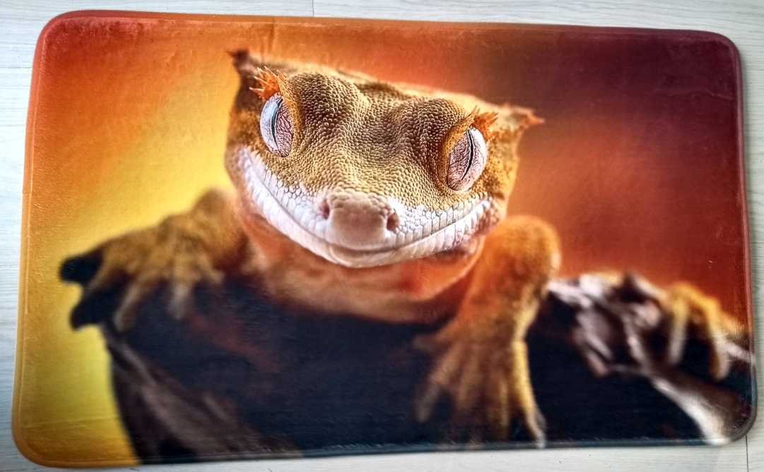 Dywanik 45x75 cm gekon orzęsiony - 5made | Sklep EMPIK.COM