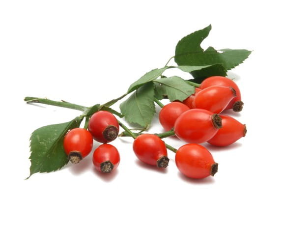 Dzika róża EQUIHERBS cały owoc 500g - Equiherbs | Sklep EMPIK.COM