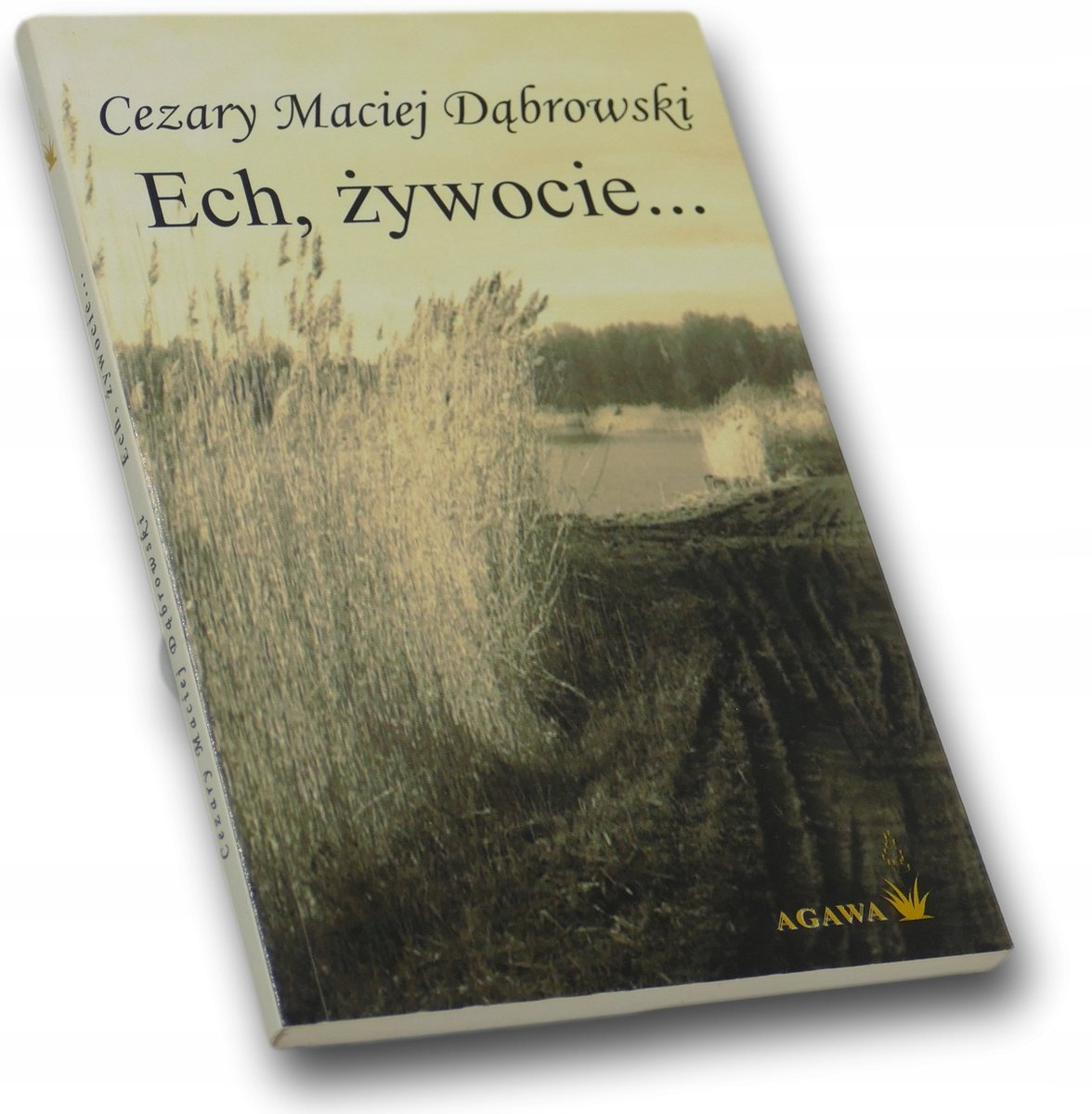Ech, żywocie - Cezary Maciej Dąbrowski - Dąbrowski Cezary Maciej ...