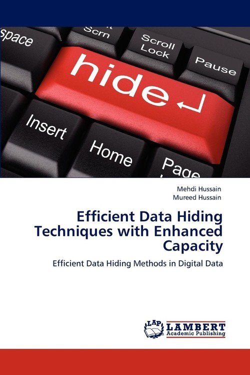 Efficient Data Hiding Techniques with Enhanced Capacity - Hussain Mehdi ... Efficient Data Hiding Techniques with Enhanced Capacity - Hussain Mehdi ...