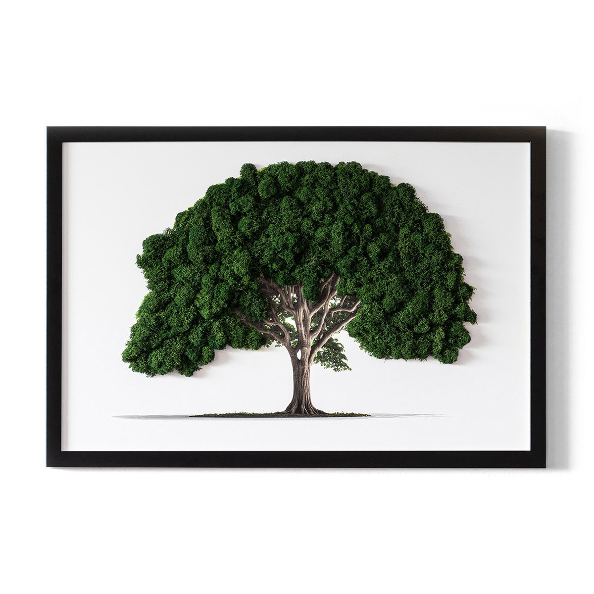 EKO Obraz z Mchem Chrobotkiem - Drzewo na białym tle - 60x40 cm - Tulup ...