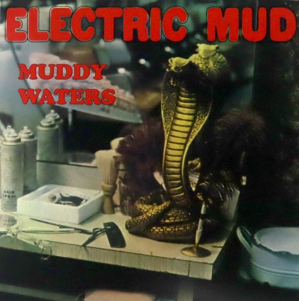 Electric Mud - Muddy Waters | Muzyka Sklep EMPIK.COM