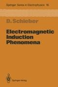 Electromagnetic Induction Phenomena - Schieber David | Książka w Empik