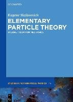 Elementary Particle Theory - Stefanovich Eugene | Książka w Empik