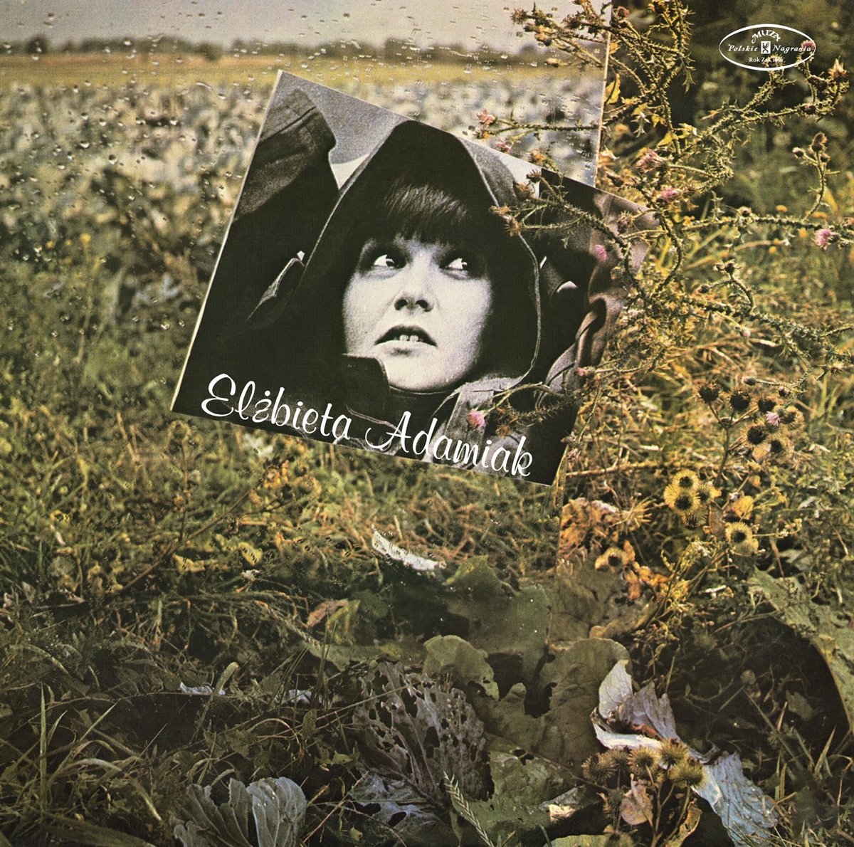 Elżbieta Adamiak (czarna płyta) - Adamiak Elżbieta | Muzyka Sklep EMPIK.COM