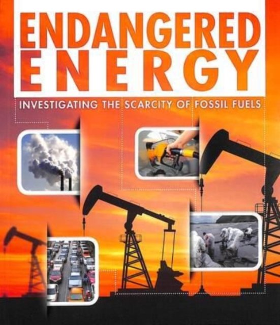 Endangered Energy: Investigating the Scarcity of Fossil Fuels - Rani ...