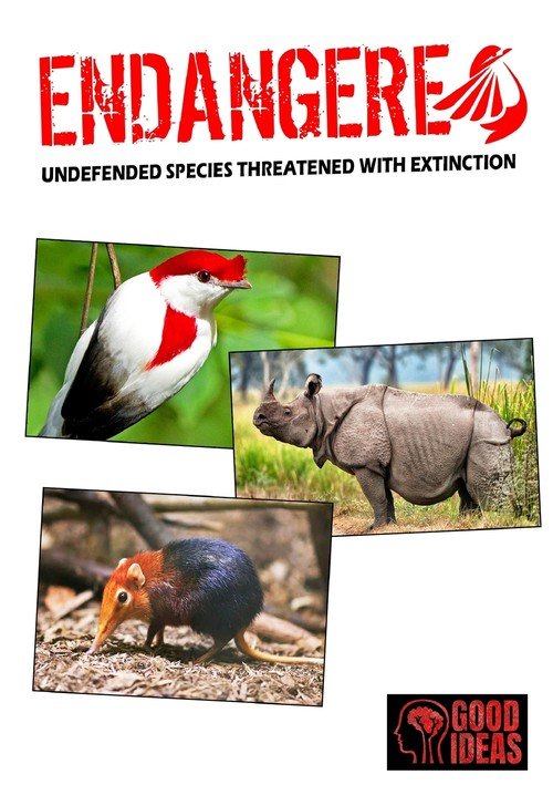 ENDANGERED - Undefended species threatened with extinction - Ideas Good ...