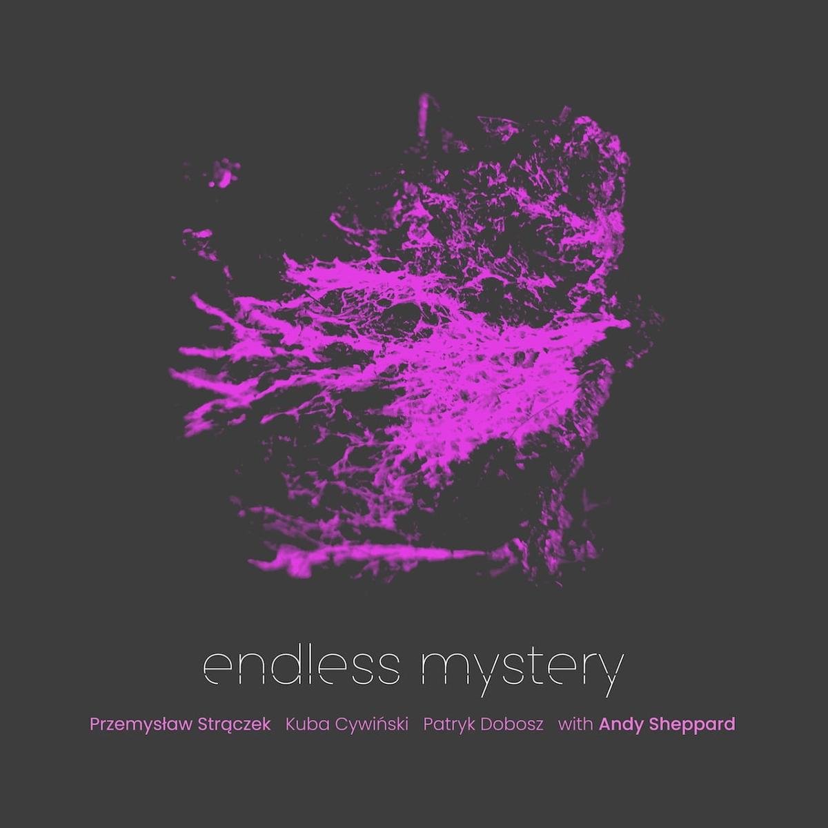 Endless Mystery (płyta winylowa), płyta winylowa - Strączek Przemysław ...