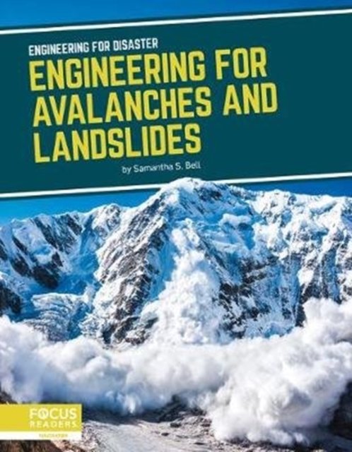 Engineering for Disaster. Engineering for Avalanches and Landslides ...