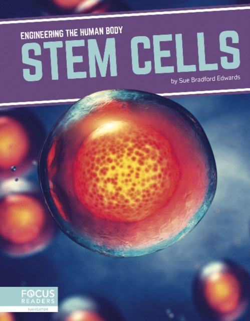 Engineering the Human Body: Stem Cells - Opracowanie zbiorowe | Książka ...