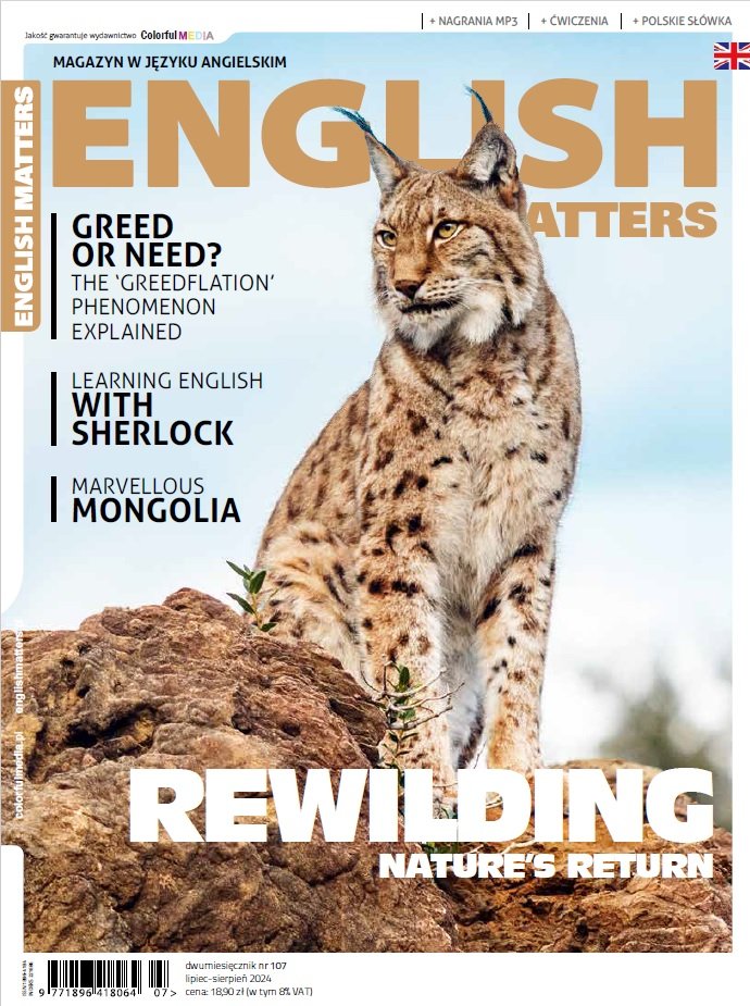 English Matters - Colorful Media | Prasa Sklep EMPIK.COM