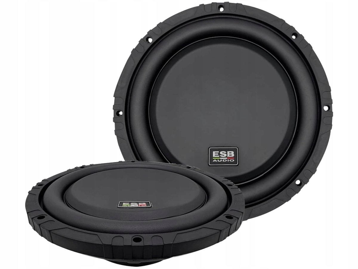 ESB 1.10SD2 - PŁASKI Głośnik NISKOTONOWY SUBWOOFER 25cm 10cali 250W 2x2 Ohm - ESB | Motoryzacja ...
