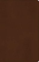 ESV Large Print Value Thinline Bible - Opracowanie zbiorowe | Książka w ...