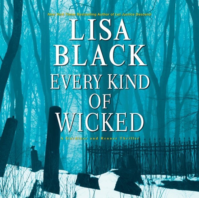 Every Kind of Wicked - audiobook - Kirsten Potter | Audiobook Sklep ...