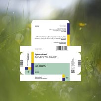 Everything Was Beautiful (Deluxe Edition), płyta winylowa - Spiritualized | Muzyka Sklep EMPIK.COM